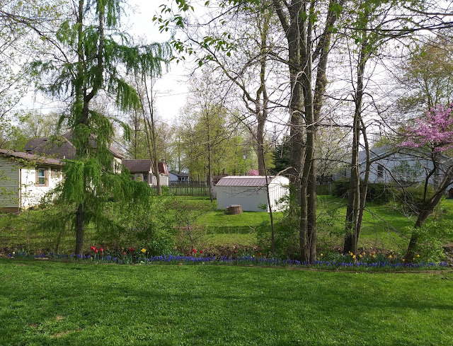 Sweet Home Indiana: Spring Garden Tour