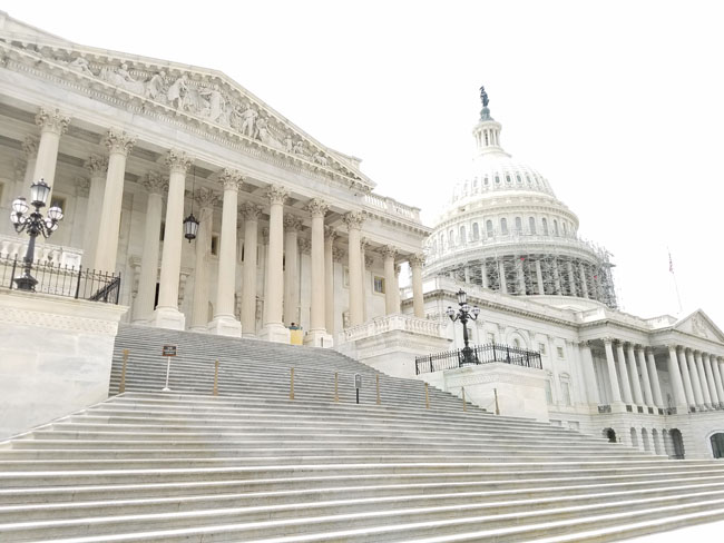 Around Washington D.C. - Remodelando la Casa