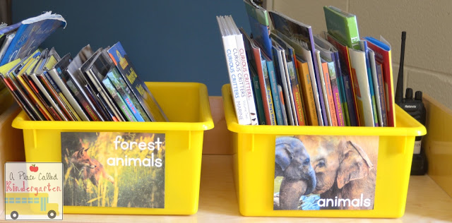 A Place Called Kindergarten: nonfiction book bin labels