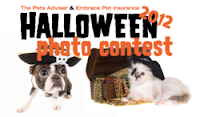 Bunny's Blog: Enter Halloween Pet Photo Contest, Win $1,000 for ...