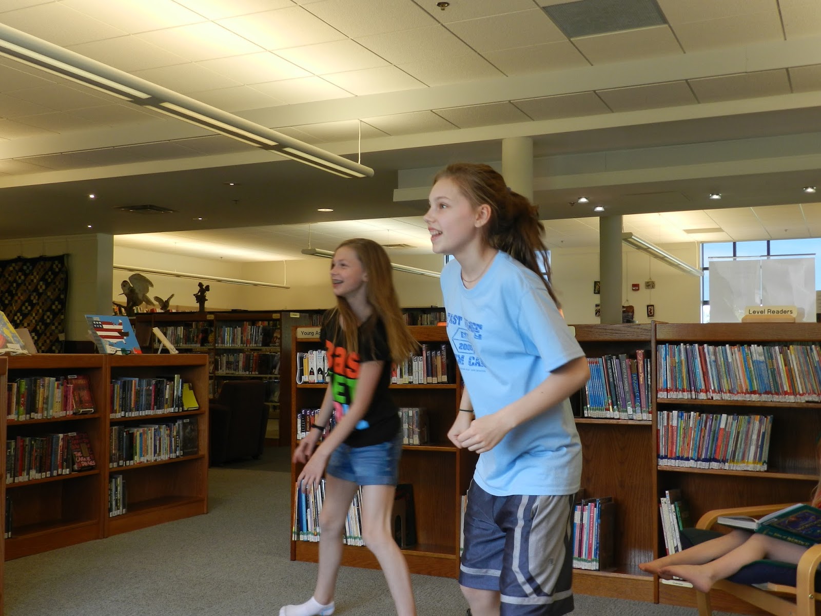 Babbitt Public Library: Young Adult Section