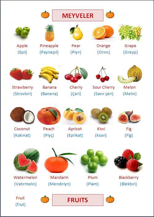 SELÇUK ECZA 50.YIL İLKÖĞRETİM OKULU HARUN GÖĞEBAKAN: Resimli İngilizce ...
