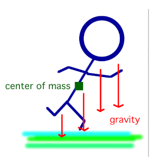 Center of Gravity