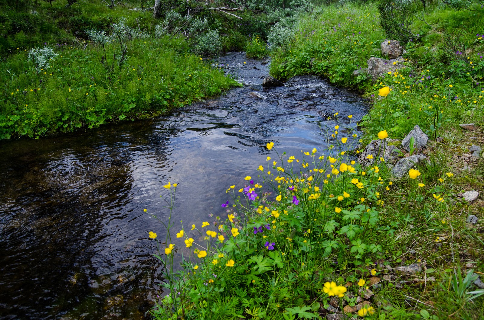 Avatailin taival: Lemmenjoki 2017/heinäkuu: Angeli-Kietsimätunturit ...