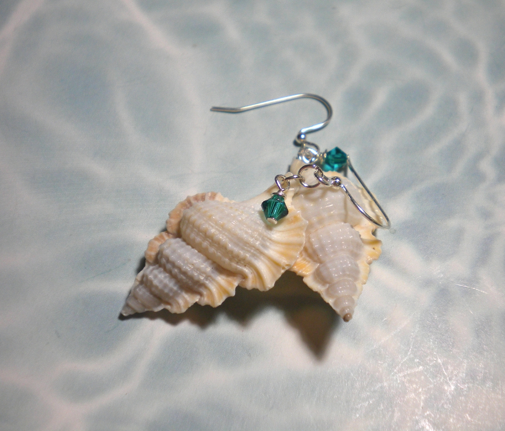 Del's Shells: Maple Leaf Shell Earrings
