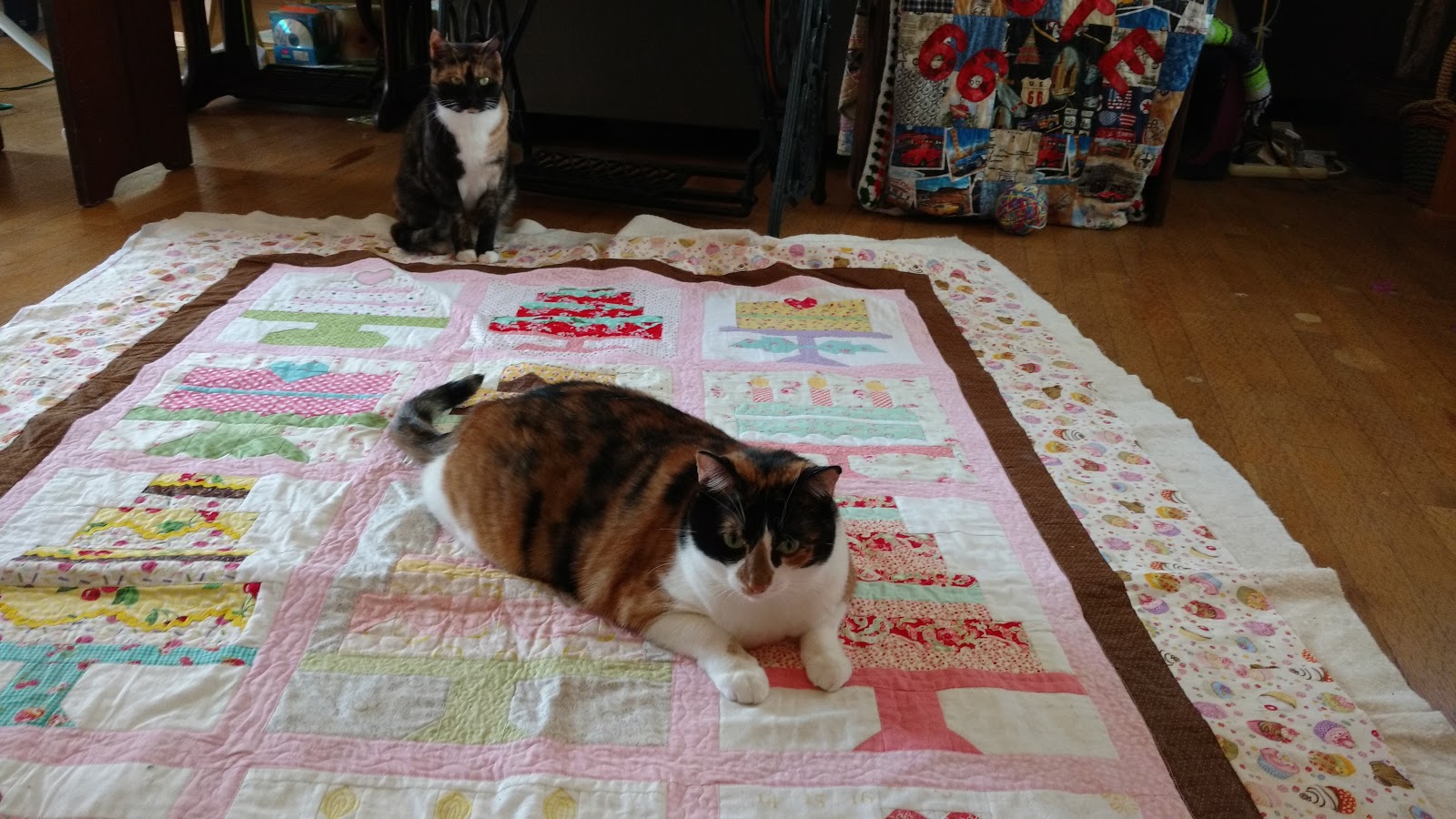 Missy's Homemaking Adventures: Cupcake the Calico Cat on the Cake Quilt