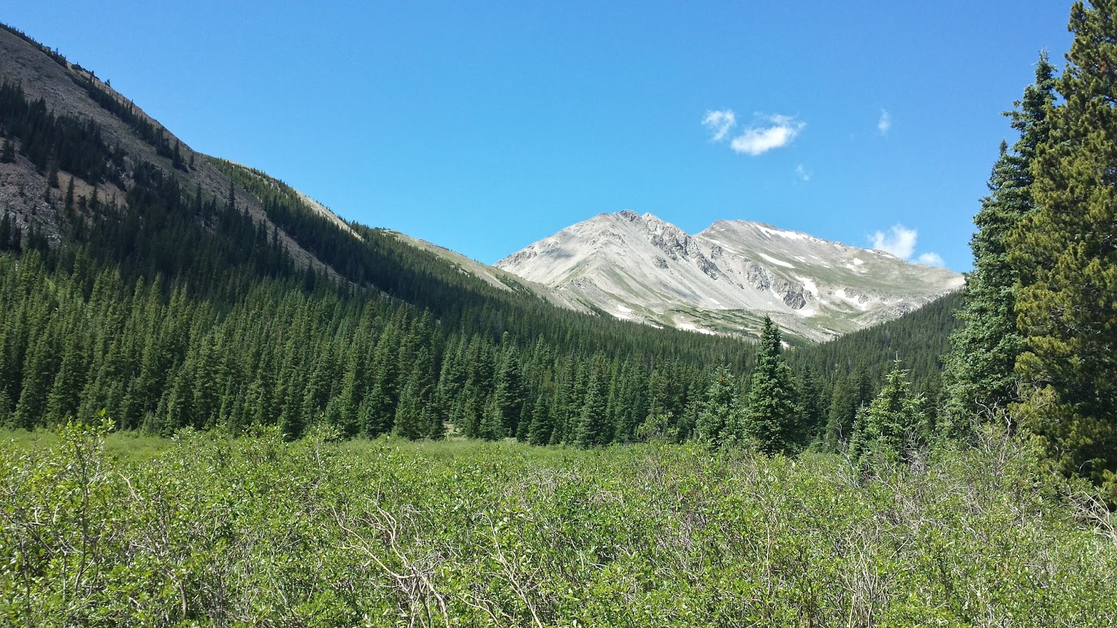 Wilderness Wanderings: Silver Creek-Colorado Trail