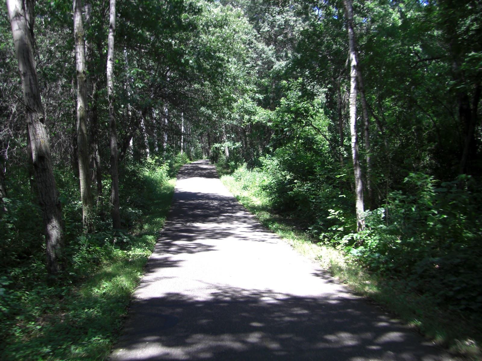 MN Bike Trail Navigator: Trail Photo Gallery: Gateway State Trail