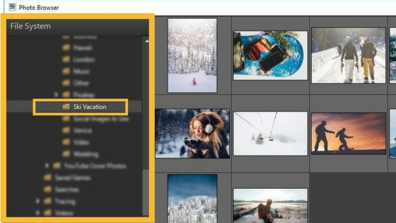 Photo Browser in PhotoPad Photo Editor | Do More With Software