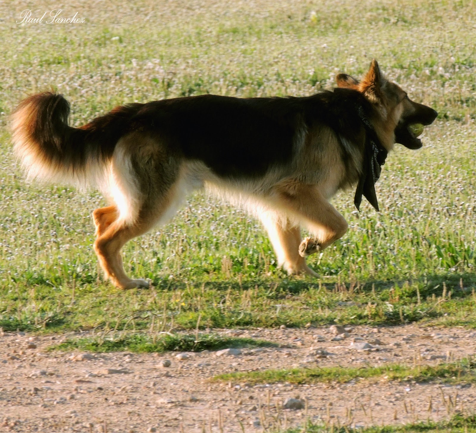 Naturaleza Viva : abril 2014