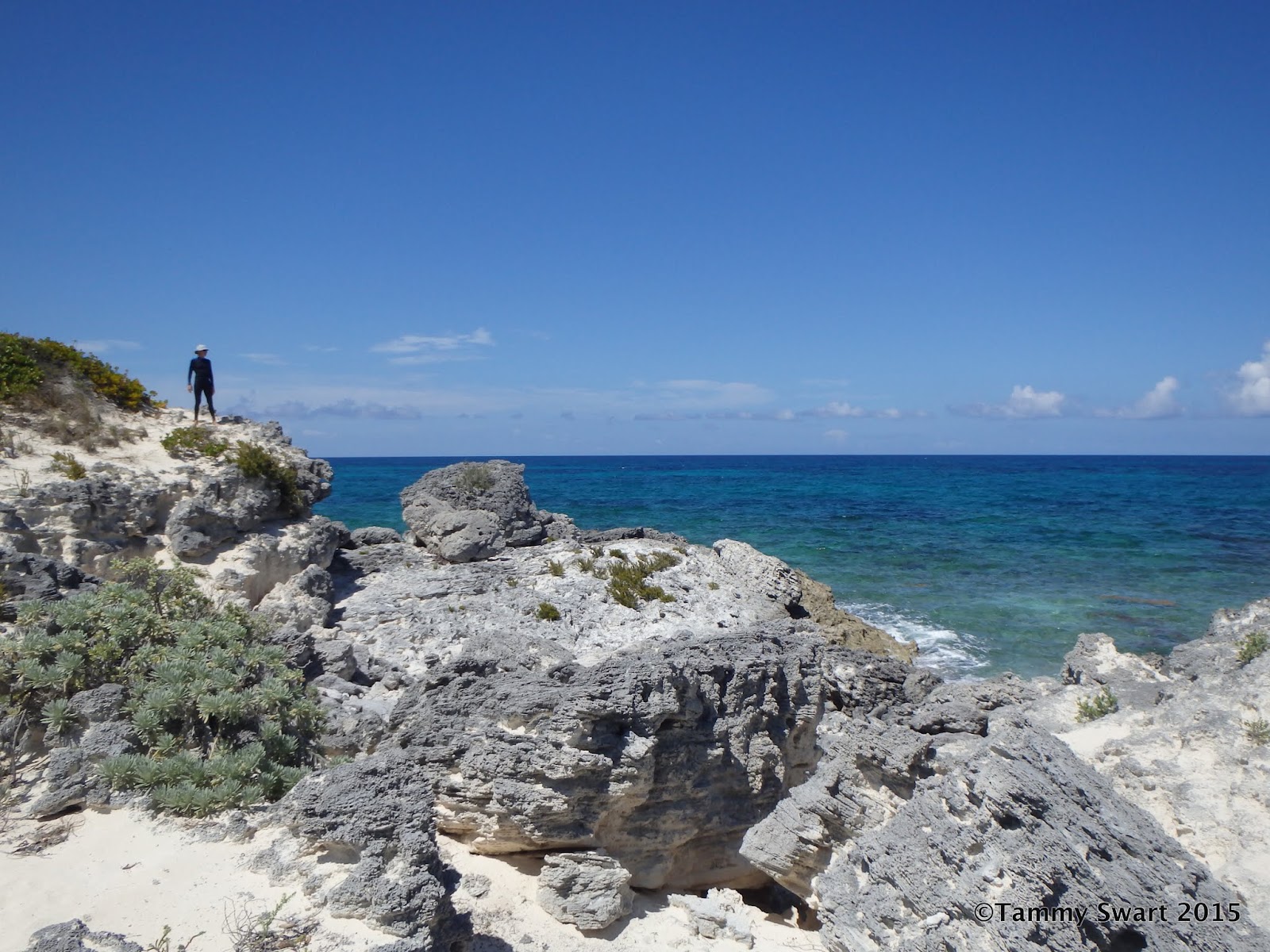 Things we did today...: June 2015