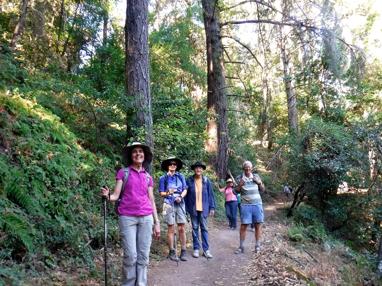 Santa Cruz Mountains Trails: A One Way Downhill Hike at Wunderlich ...