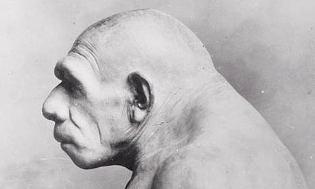 The Glass Character: Human/ape hybrids: what they don't want you to know