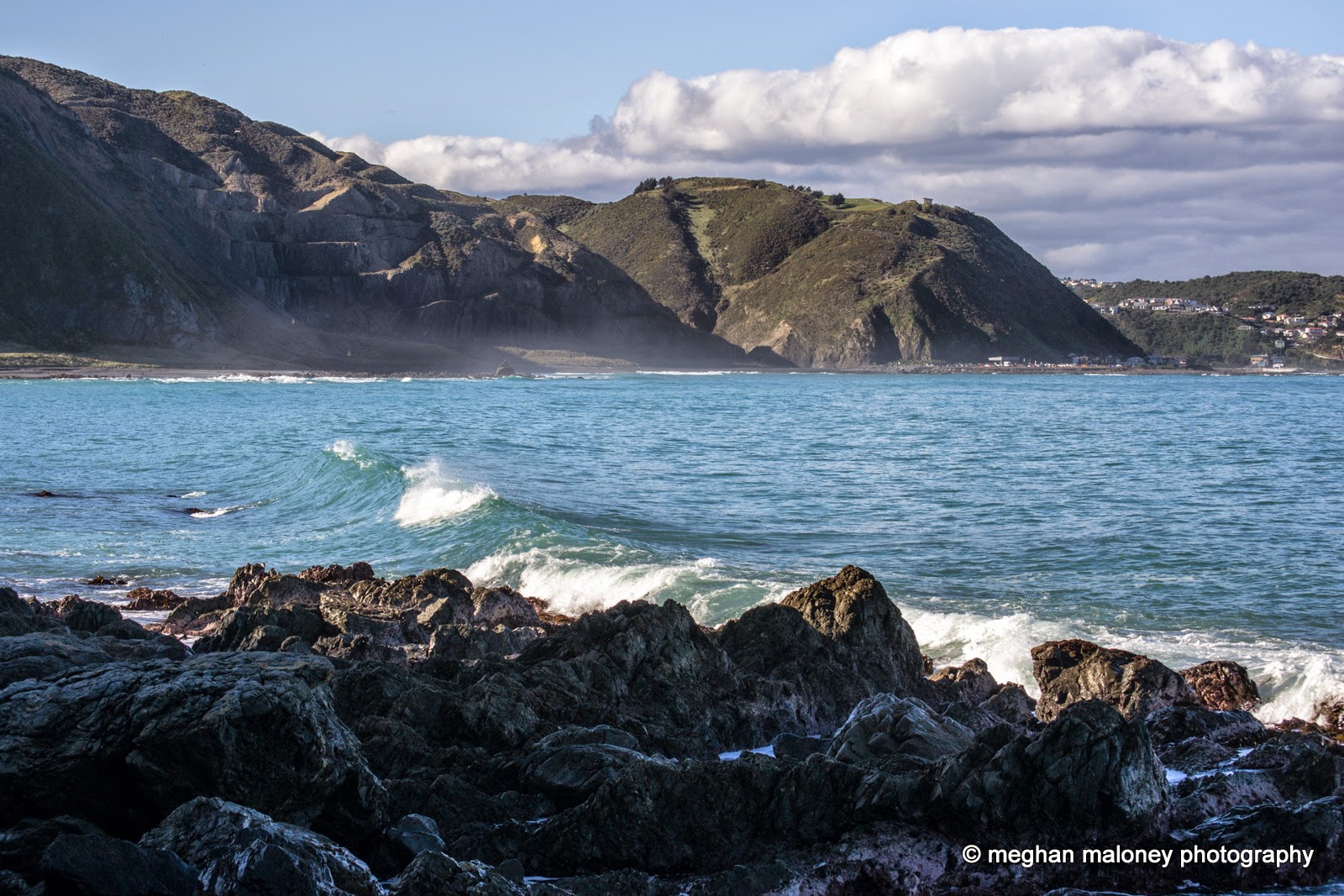 NZ Must Do: The walk to Red Rocks Seal Colony | the adventures of MNMs