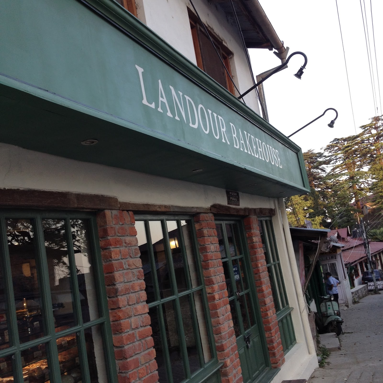 The Whimsy Bookworm: A Book Blog from India: Travel Diary/// Landour ...