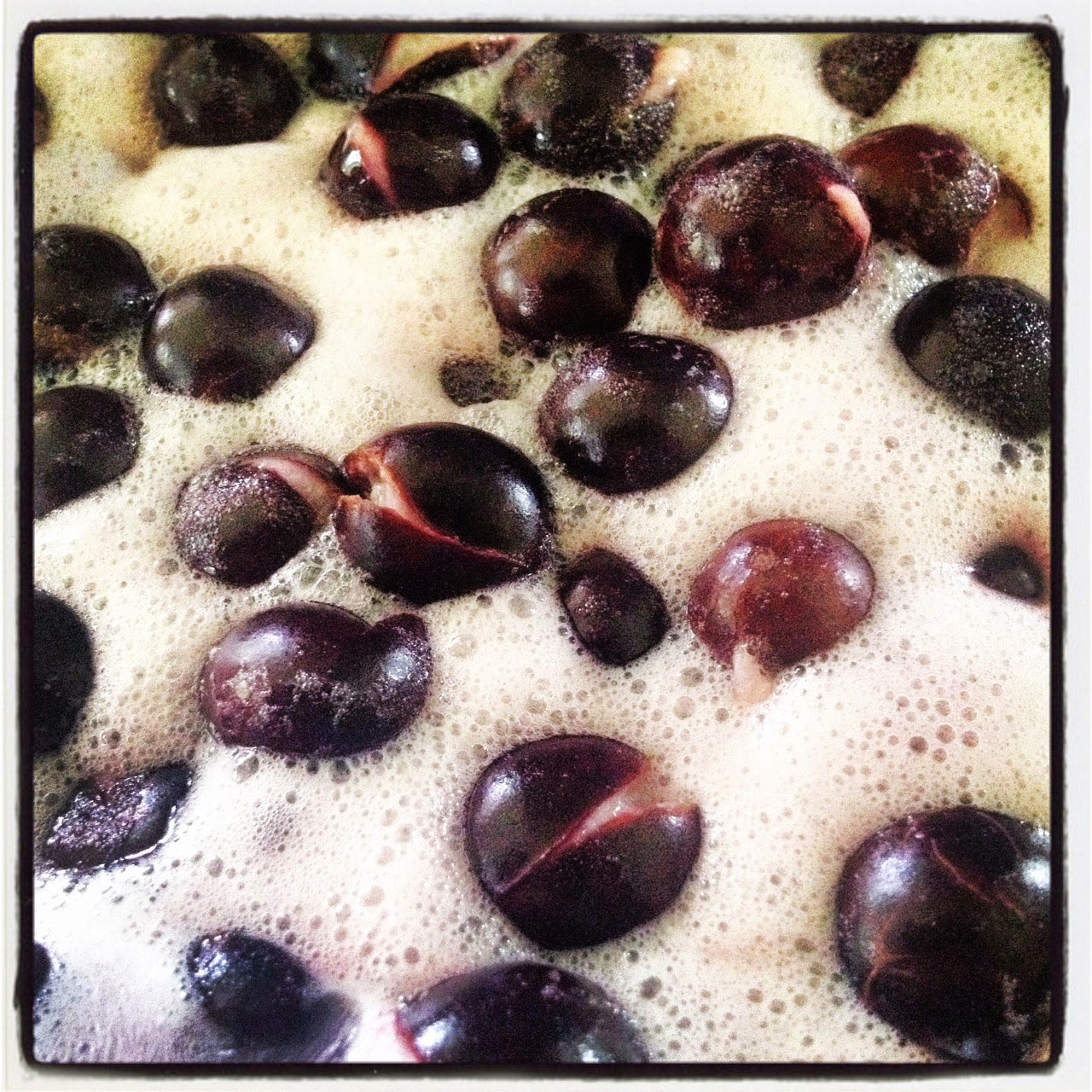 Tropical Homestead: Jaboticaba Ginger Calamansi Marmalade