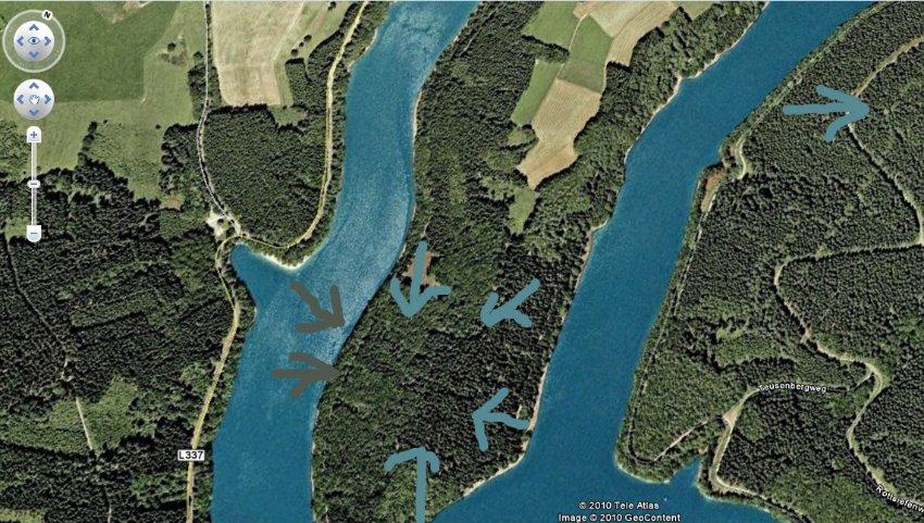 Predictable History, Unpredictable Past: Swastikas In The Woods (Photo ...