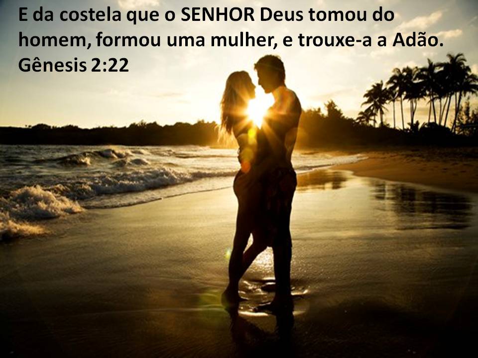 Vivendo da Palavra: E da costela que o SENHOR Deus tomou do homem ...