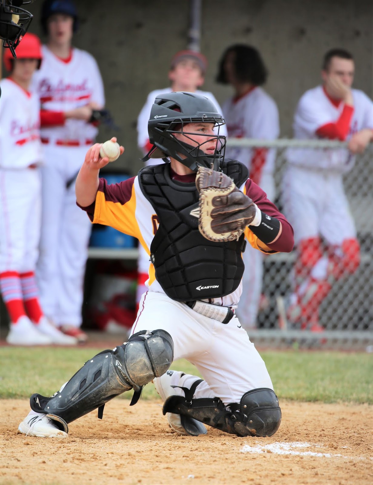 The Jansen Family: Unity is strength... and when there is teamwork and ...