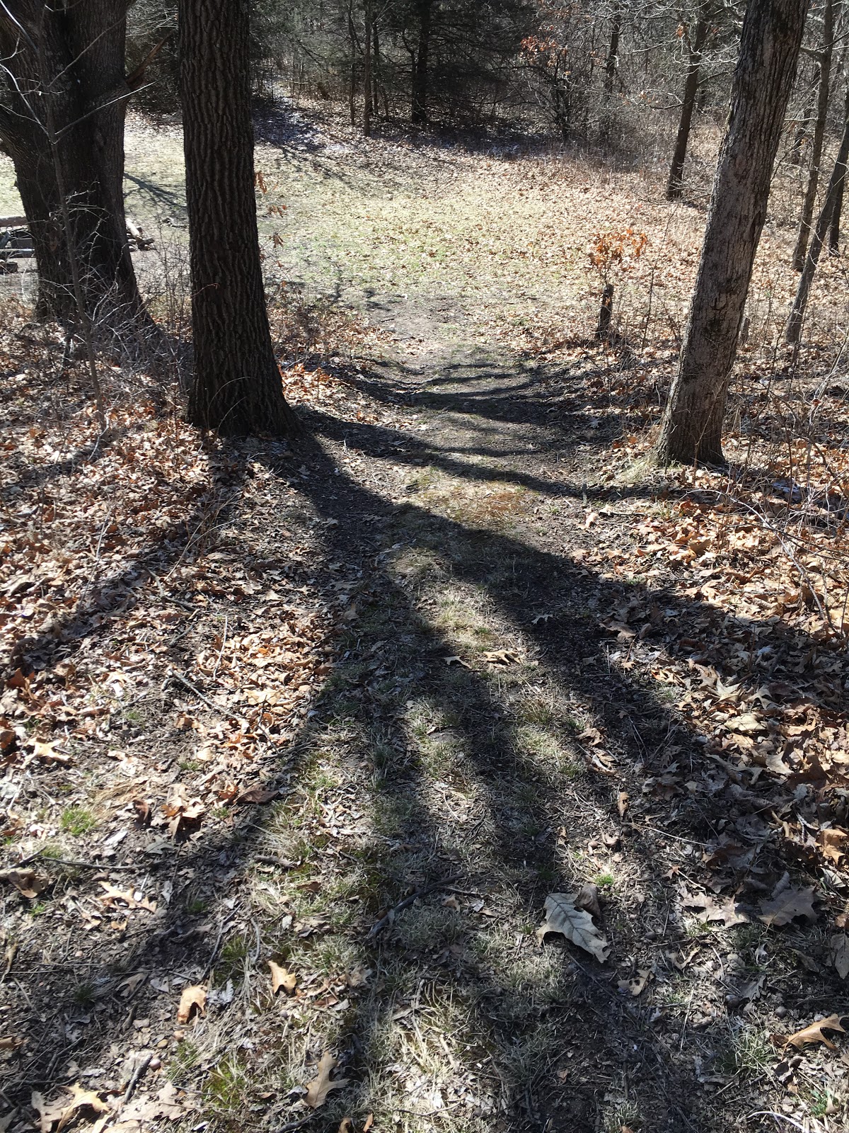 Backpacking Stephens State Forest - Woodburn Unit West Loop
