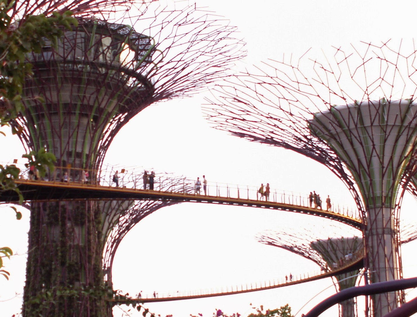 Travel Rocks My World: Made in Singapore: The Iconic Super Trees at ...