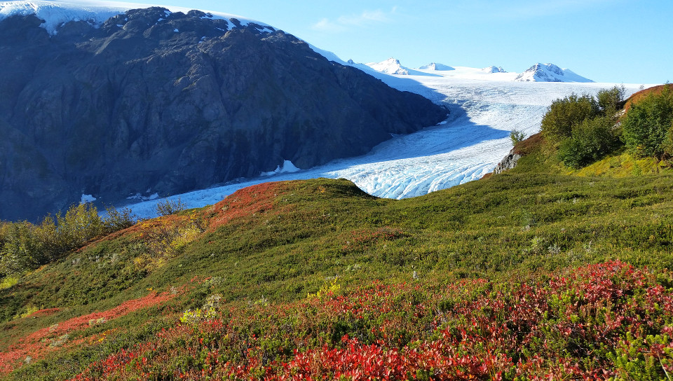 Harding Ice Field trail - 1 Reviews