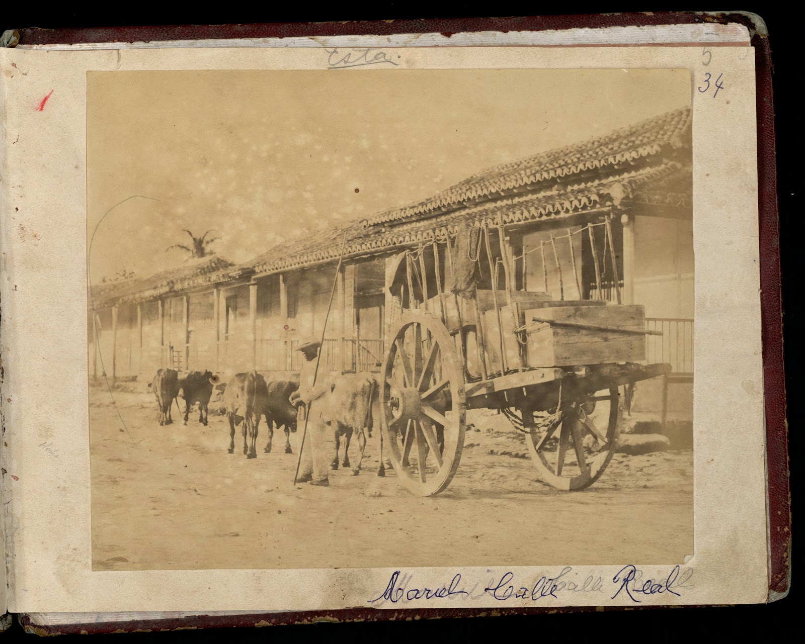 GENTE DEL MARIEL. : Álbum Fotográfico de Dña. Nicolasa Villa de ...