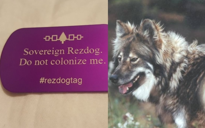 White Wolf : Fascinating Story of Native American Rez Dogs