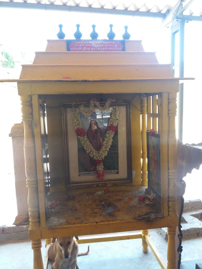 Siddha Heartbeat: SRIMATH PAMBAN SWAMIGAL'S GURU PUJA