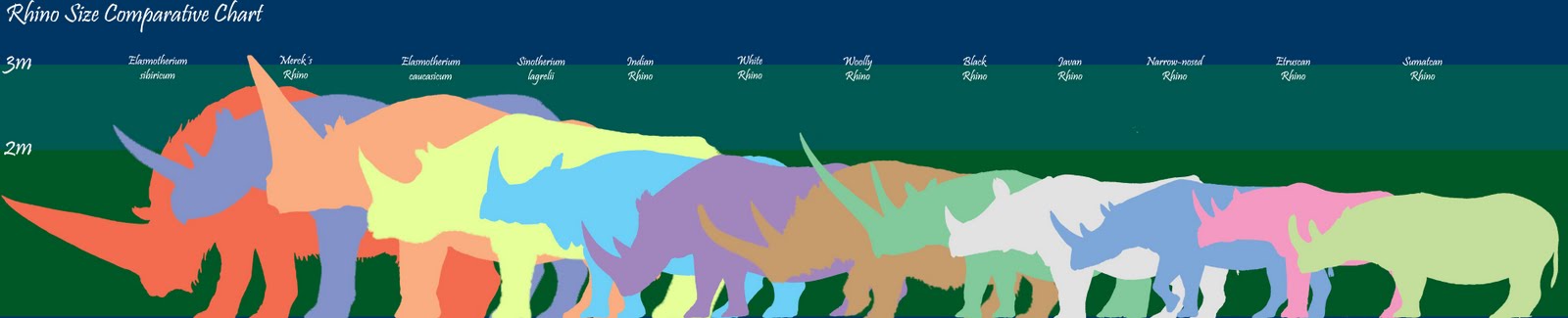 Science & Art net: Rhino Size comparative chart