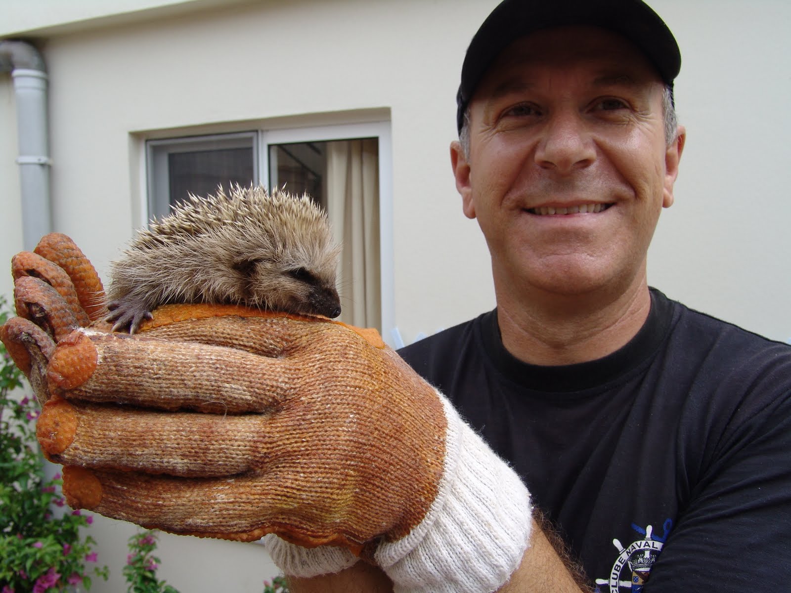 NATURMARIENSE: UMA HISTÓRIA INTERESSANTE QUE TIVEMOS COM UM OURIÇO CACHEIRO