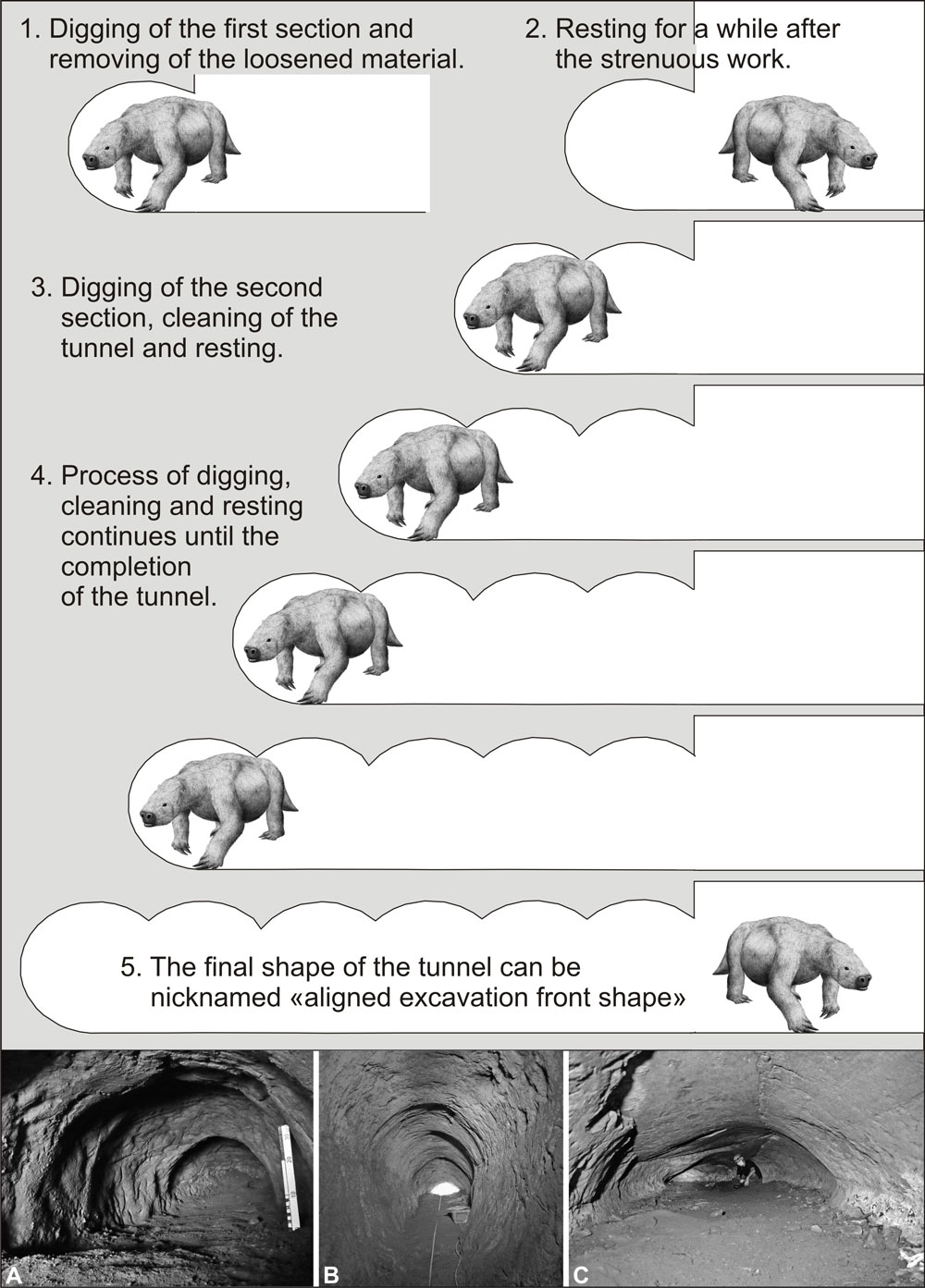 Earthly Musings - My Travel and Geology Blog: Giant Paleoburrows in ...