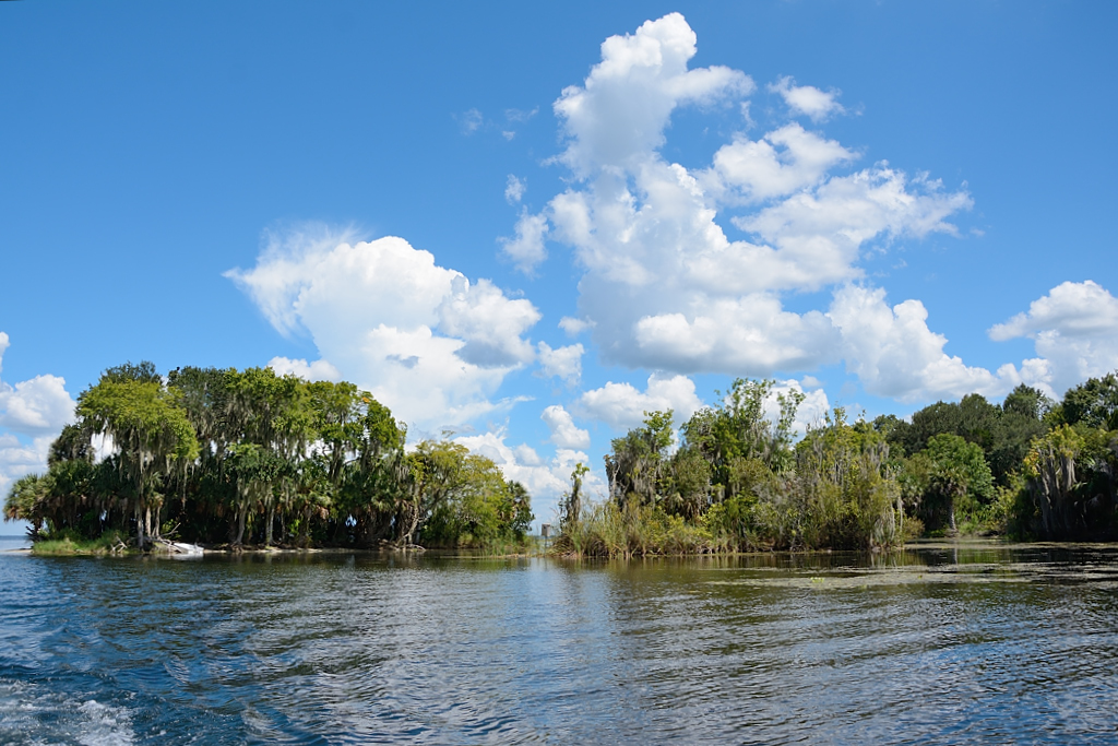 Drift Away: Boating on Lake George, Florida