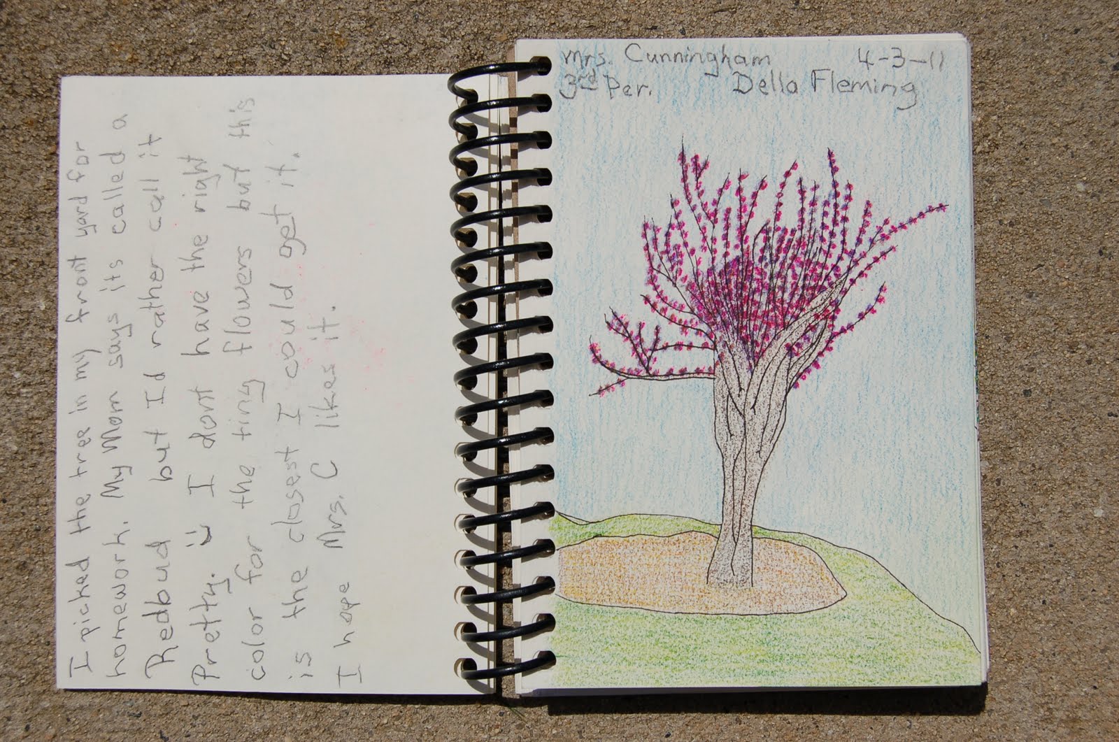 Indigo Sky: Fake Journal Entry 3