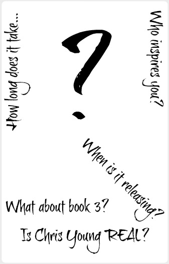 Writing Belle: State of Chaos: Question and Answer Time with the Author ...