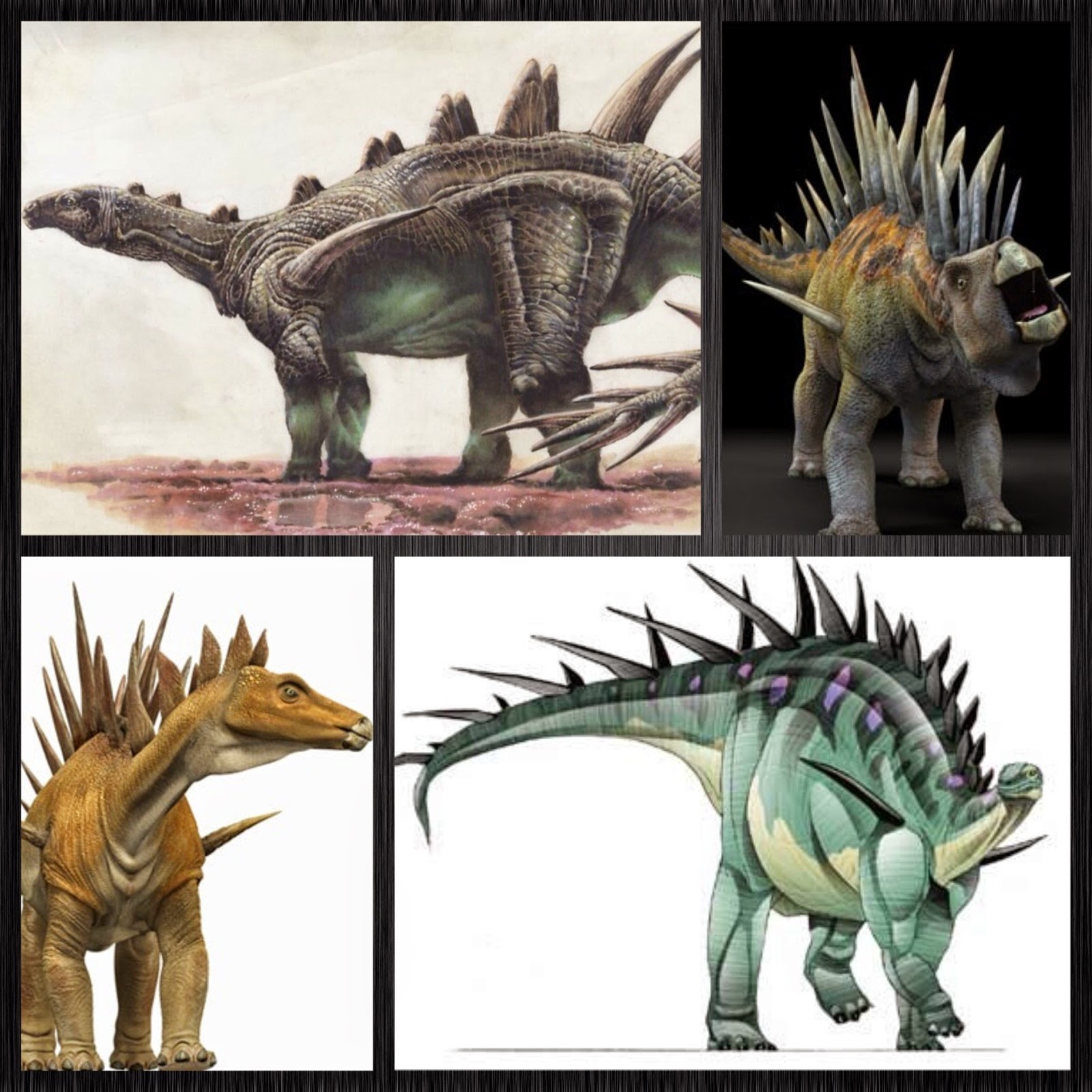a mesozoic field guide: The Stegosaurs