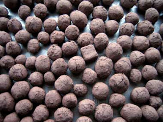 Temperate Climate Permaculture: Permaculture Projects: Seed Balls