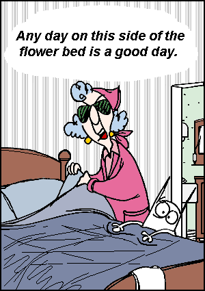jill polsby: Day 66: Thursday, April 21: Story of Maxine