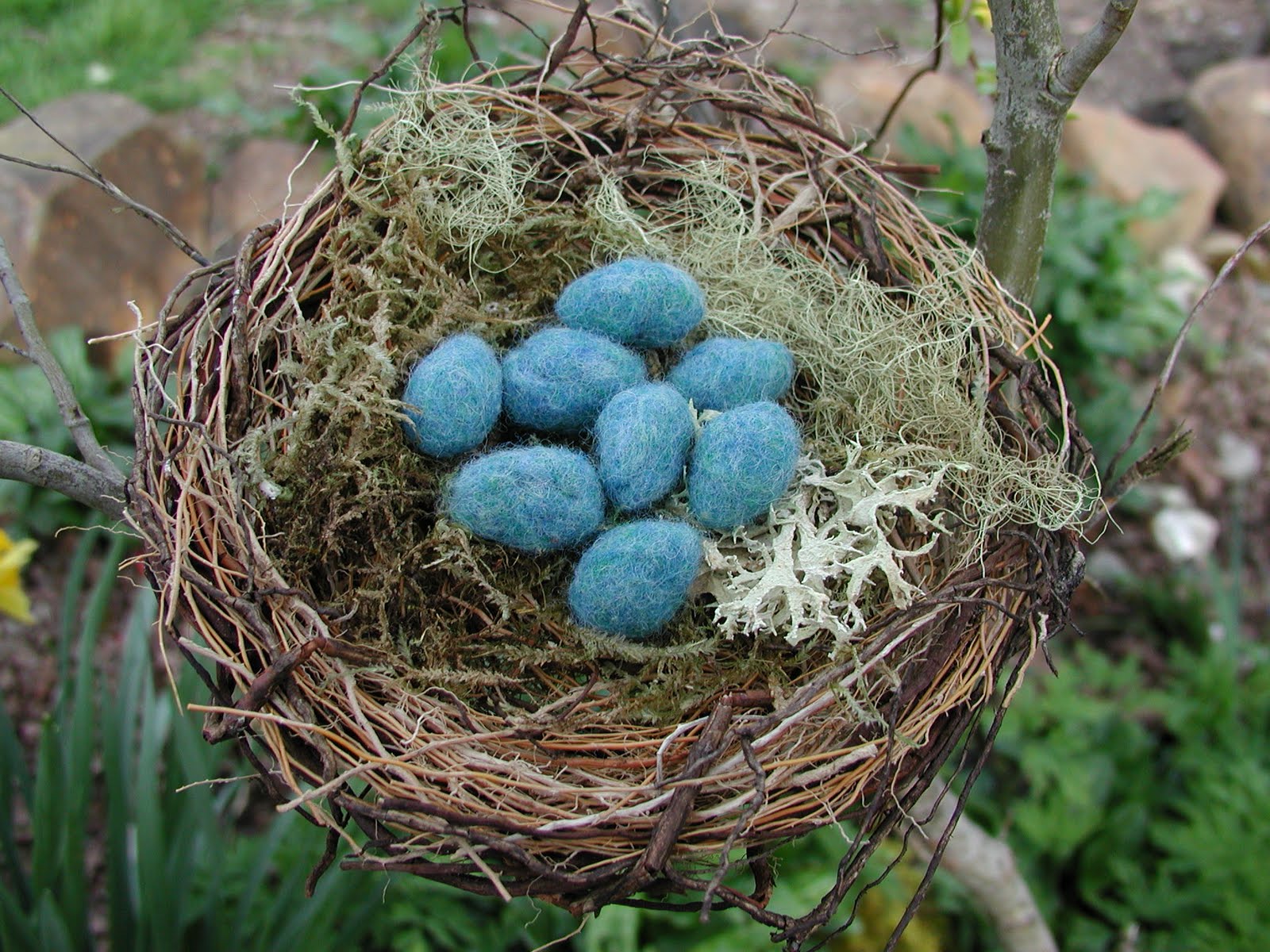A Full Nest - A Mountain Hearth