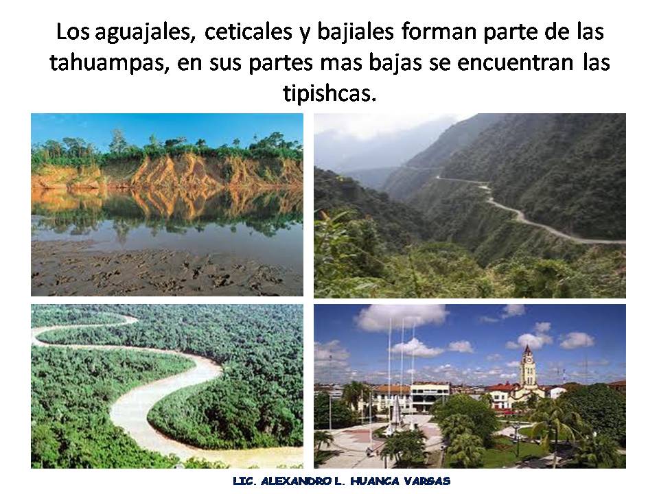 Geografito- Alexandrito: MATERIAL DE CLASE: RELIEVE DE LA SELVA