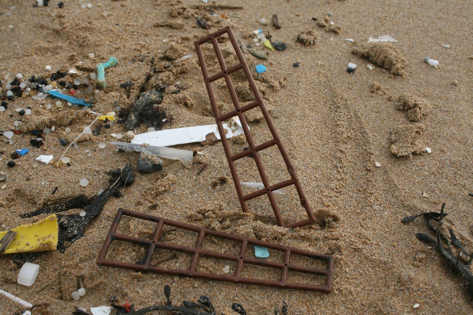 The Brickverse: Lego washing ashore in Cornwall