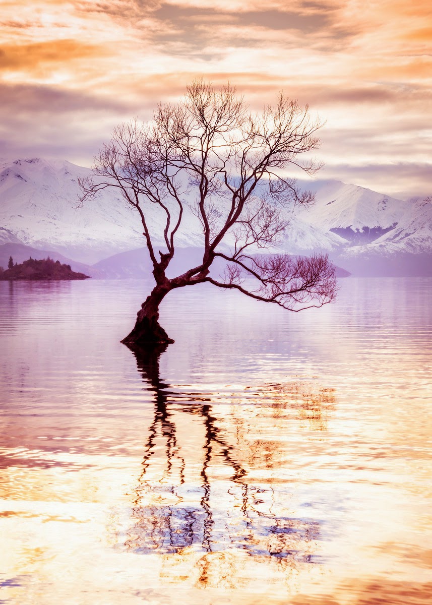 Mind blowing nature pictures