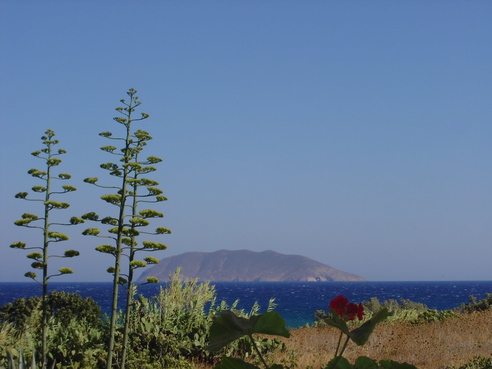 Tails of Athens: Anafi: a secret gem/Αναφη!!