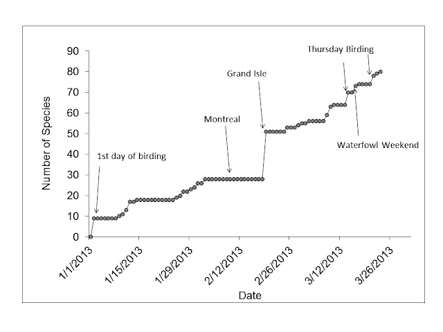 The Year of Birds: Week 12 Paul's Update