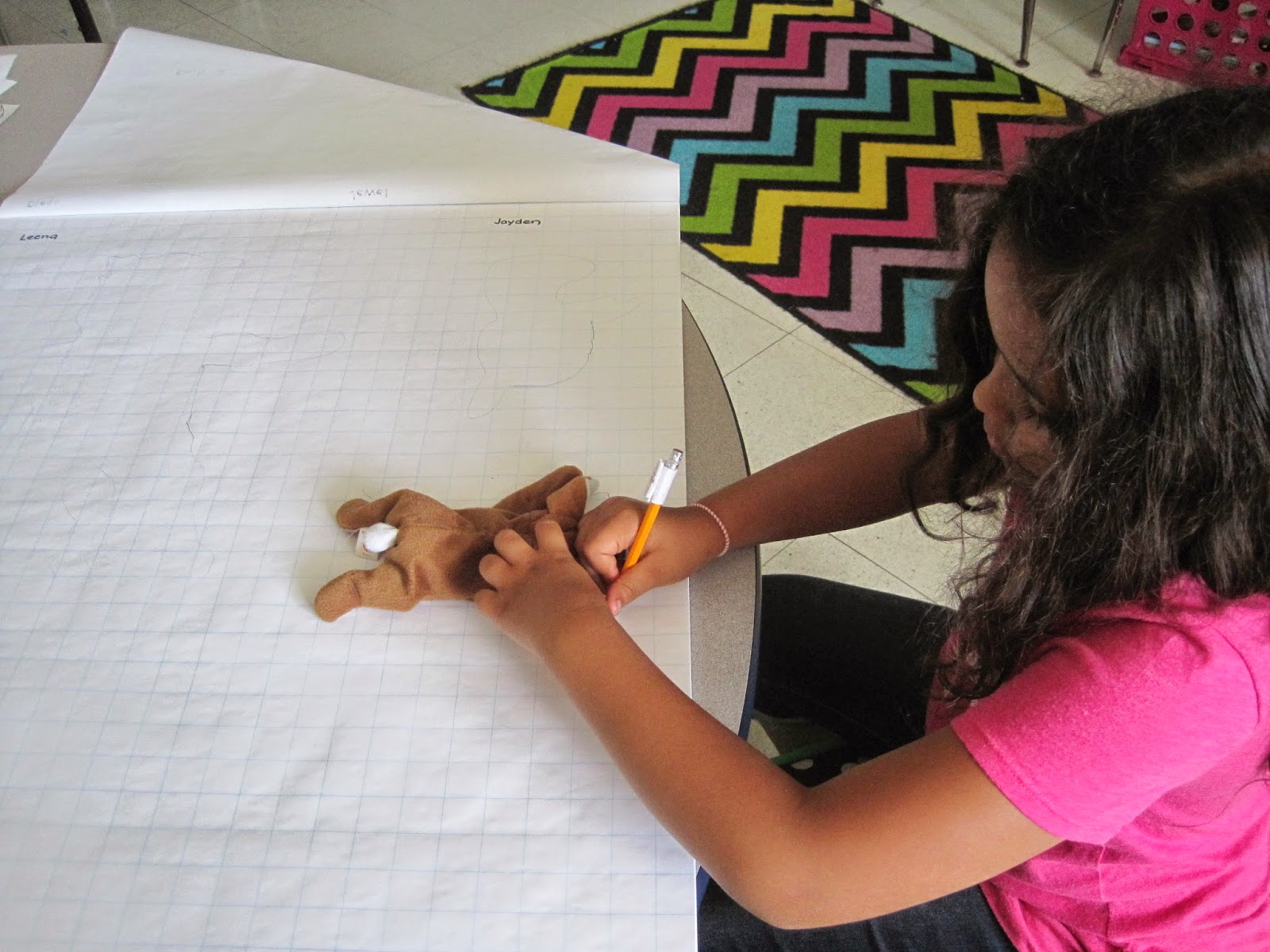 Flamingo Fabulous: Measurement Fair!