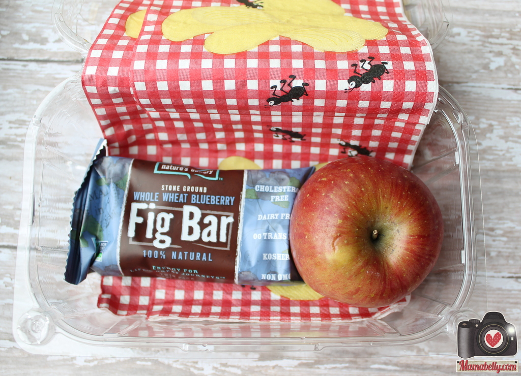 Mamabelly's Lunches With Love: Disposable Field Trip Lunches {with ...