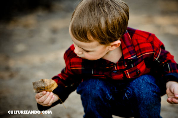 HoyVerde.com: Ser curioso es bueno para tu cerebro, mira por qué