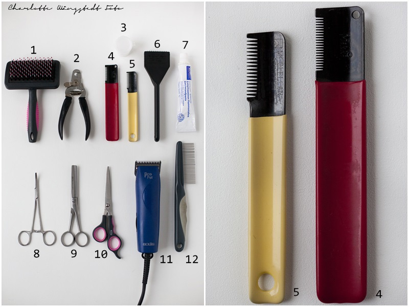 The Bearded Fellows: TRIMNING