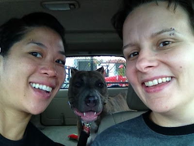 The Adventures of Dyna Girl