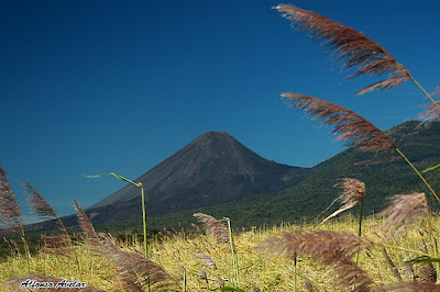POEMAS A LA ORILLA DEL VÉRTIGO: Interpretación de la brisa